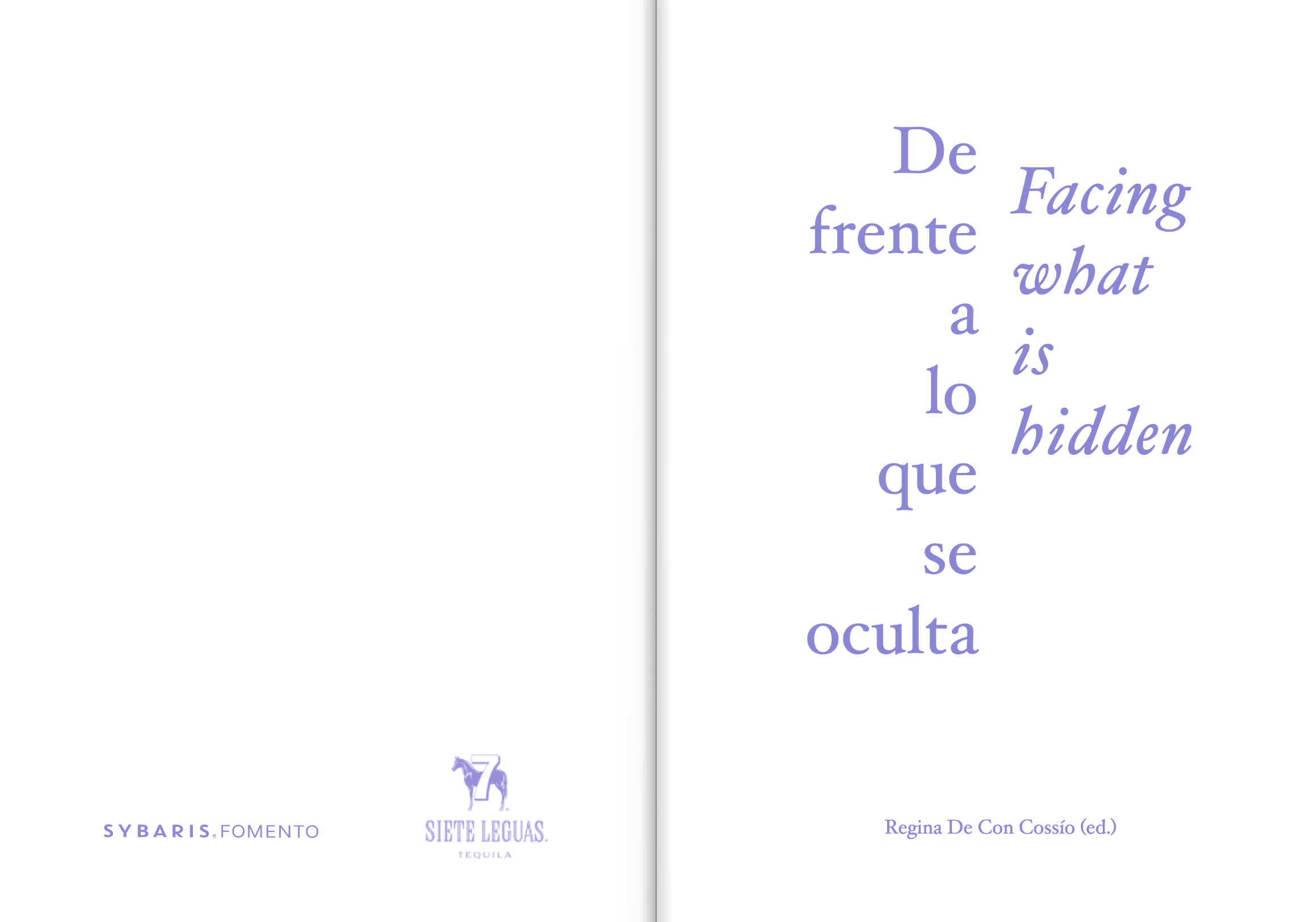 Fomento Sybaris © | De frente a lo que se oculta